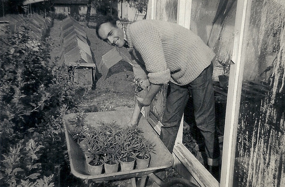 P J Archer and Son – The Archer Family Tree